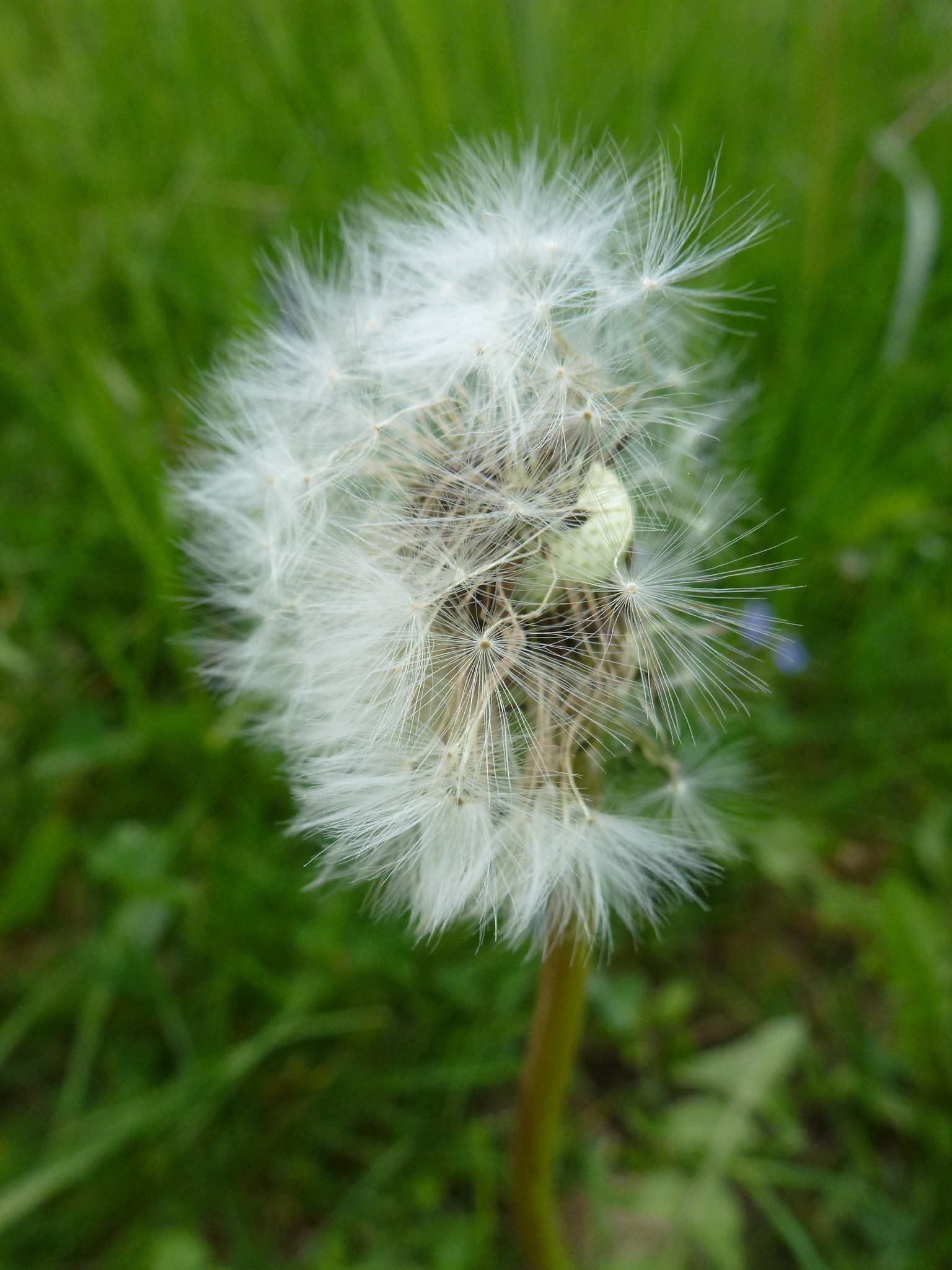 Die ansteckendsten Krankheiten, die den Menschen befallen, sind Güte ...