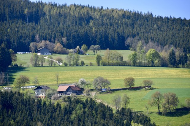 Miesenbach bei Birkfeld - Weiz