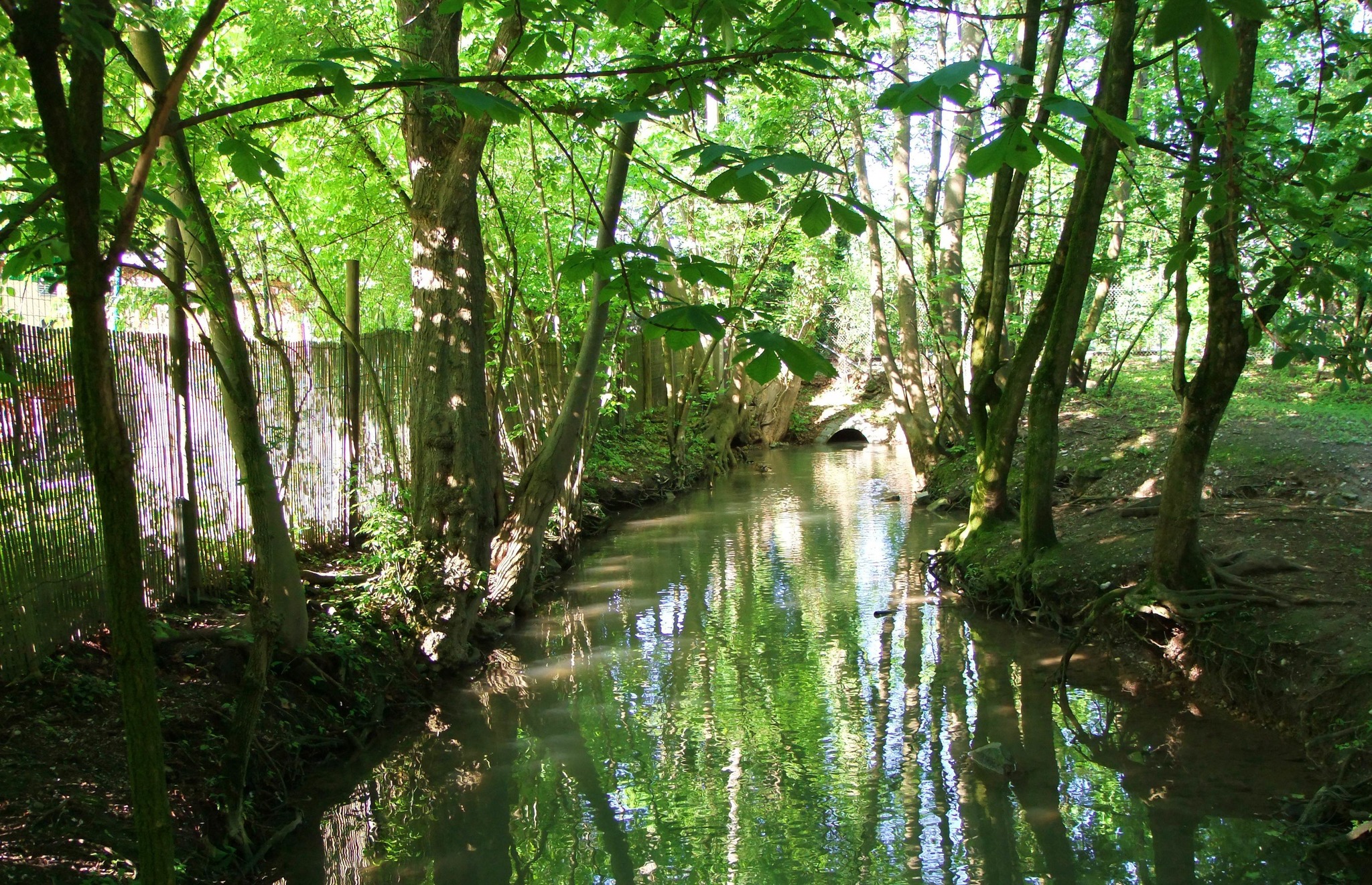 Der Tiergarten in Wels - Wels & Wels Land