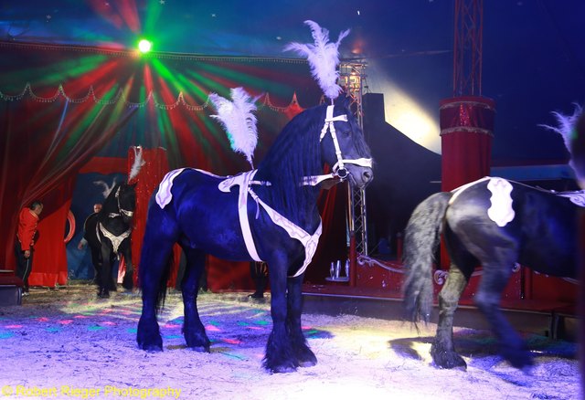 1 SHOWTEIL des CIRCUS ALEX KAISER in BAD DEUTSCH ALTENBURG 11.5.2017 ...