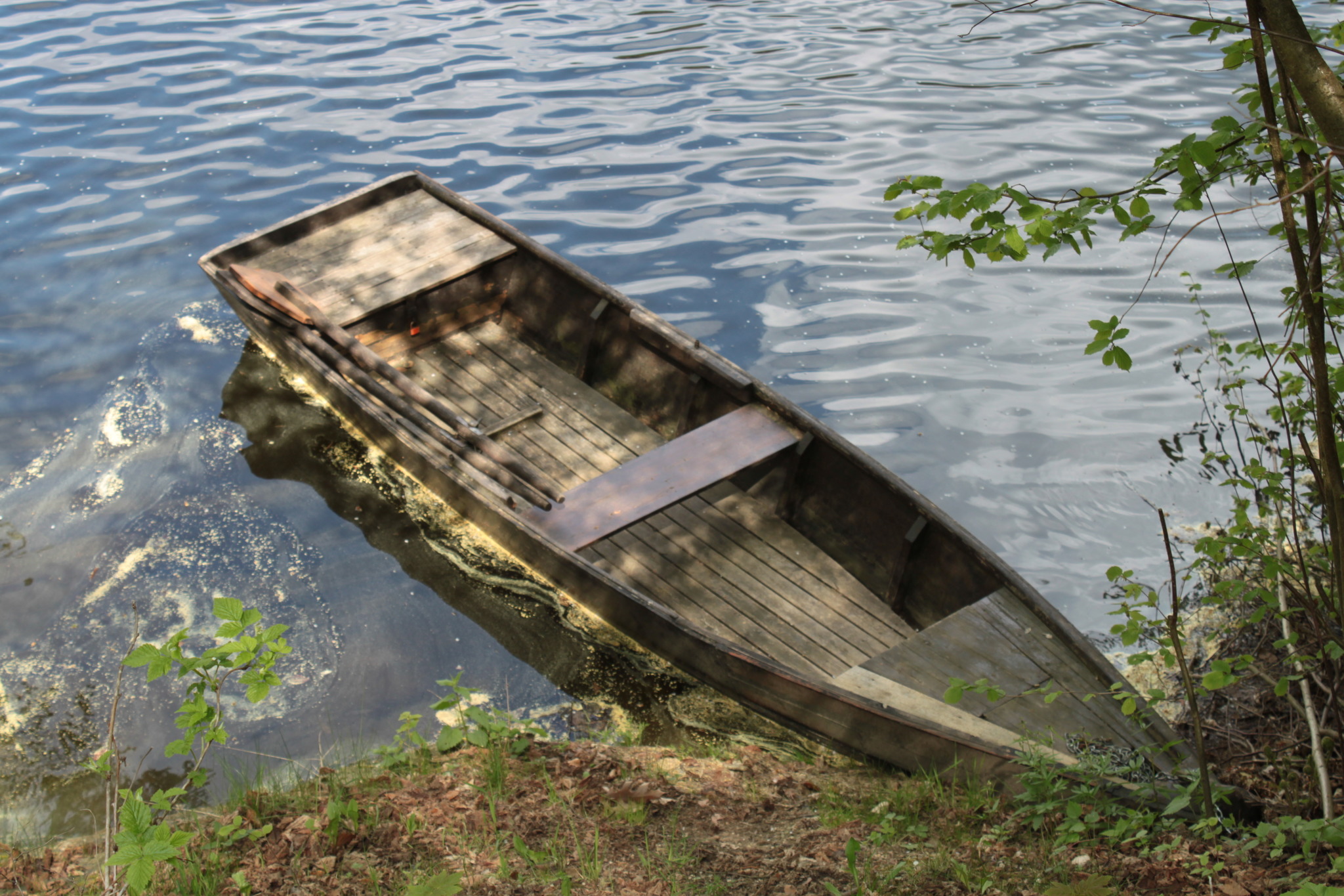 Das alte Boot am See stimmt so richtig romantisch - Waidhofen/Thaya