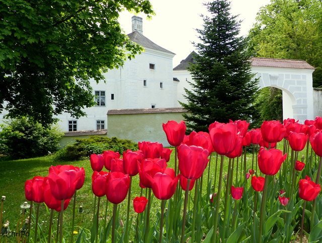 Schloss Leiben - Melk