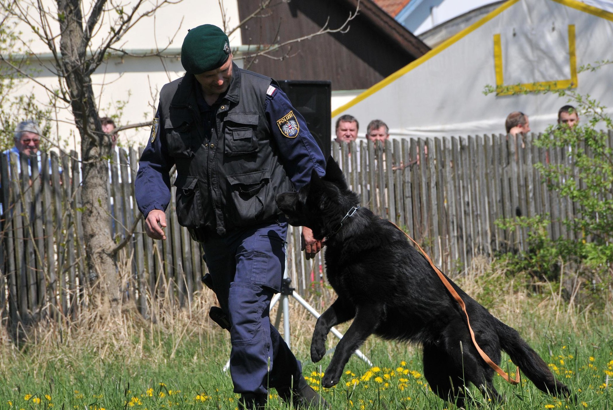 Unterdambach: Polizeihunde in der "Harmonie" - Wienerwald/Neulengbach