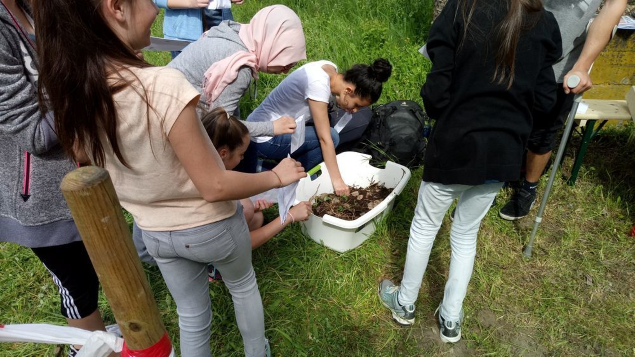 Gym-Schüler am Forschungsbauernhof - Imst
