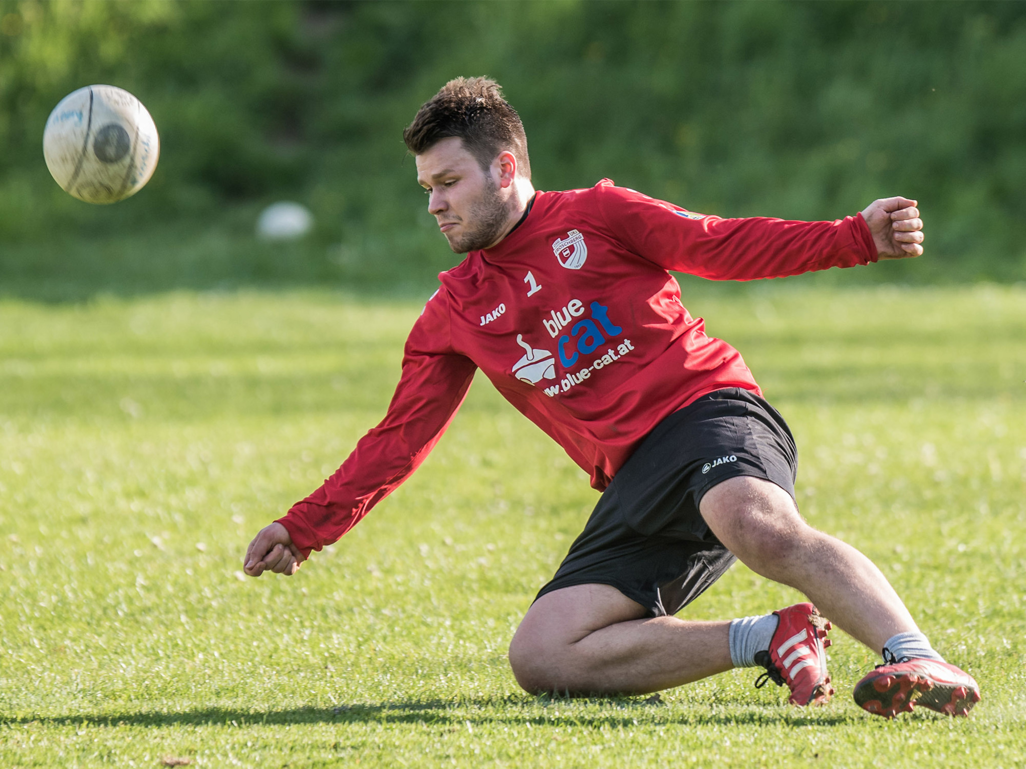 Meisterlich in die 1. Bundesliga - Linz