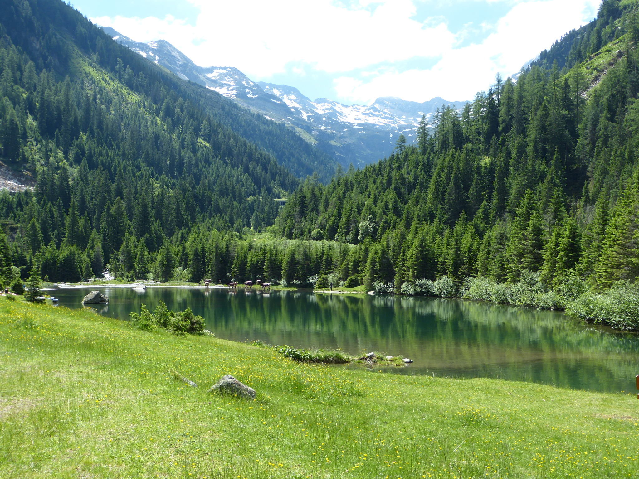 Beim Elisabethsee am Felbertauern ist immer was los.......! - Pinzgau