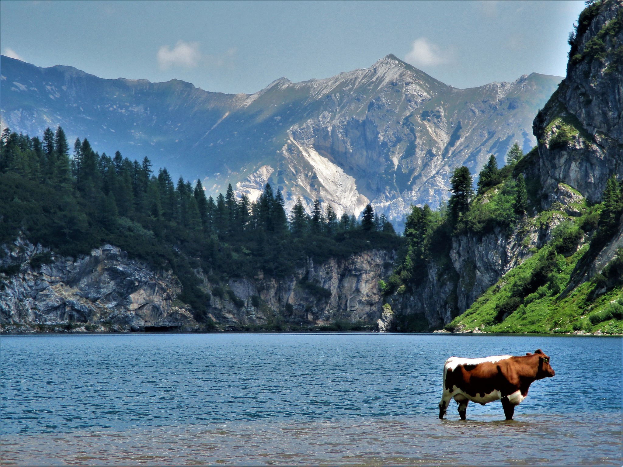 erfrischend... - Pinzgau