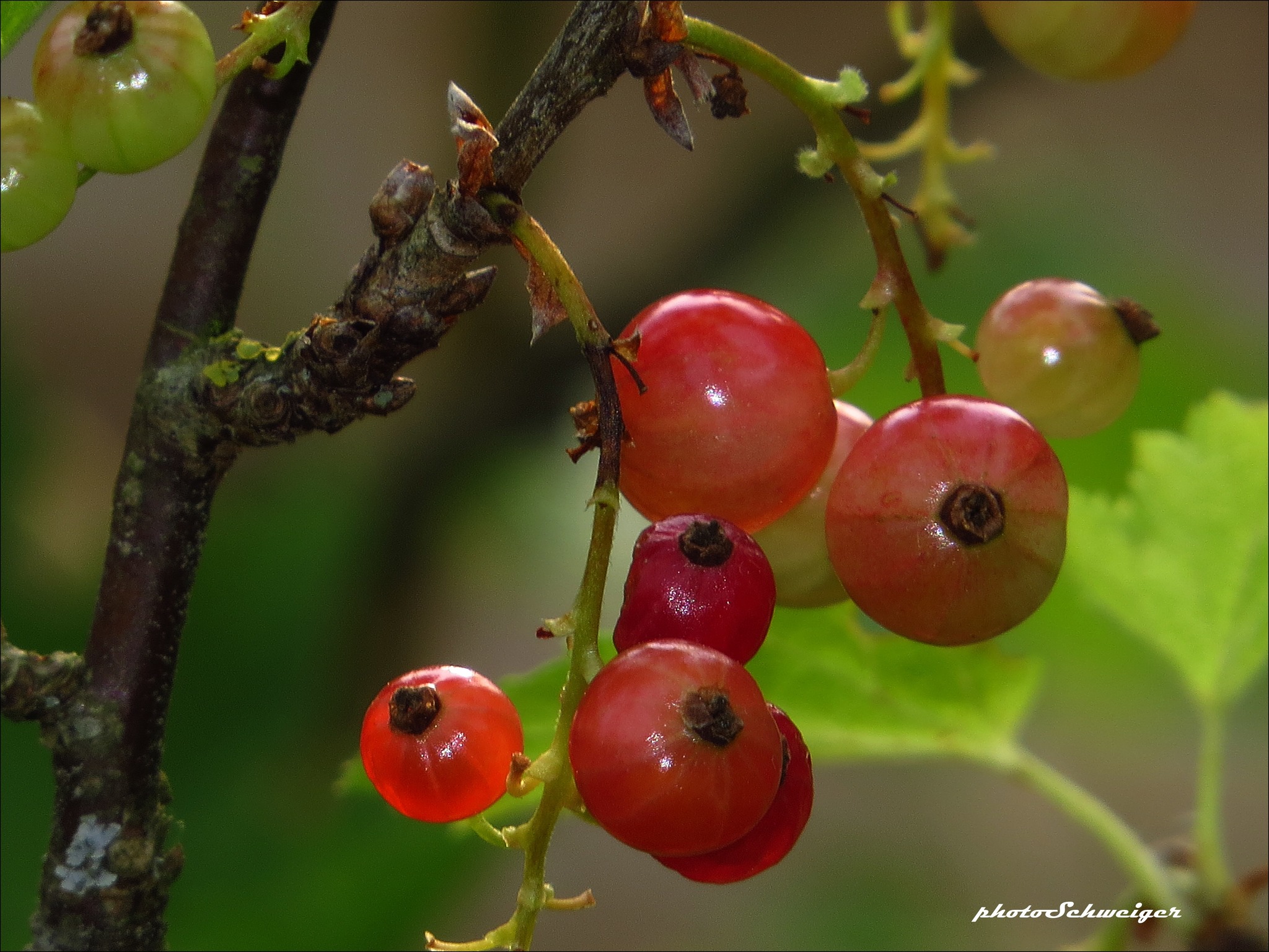 Da braucht ihr doch nicht gleich rot werden! :) - Amstetten