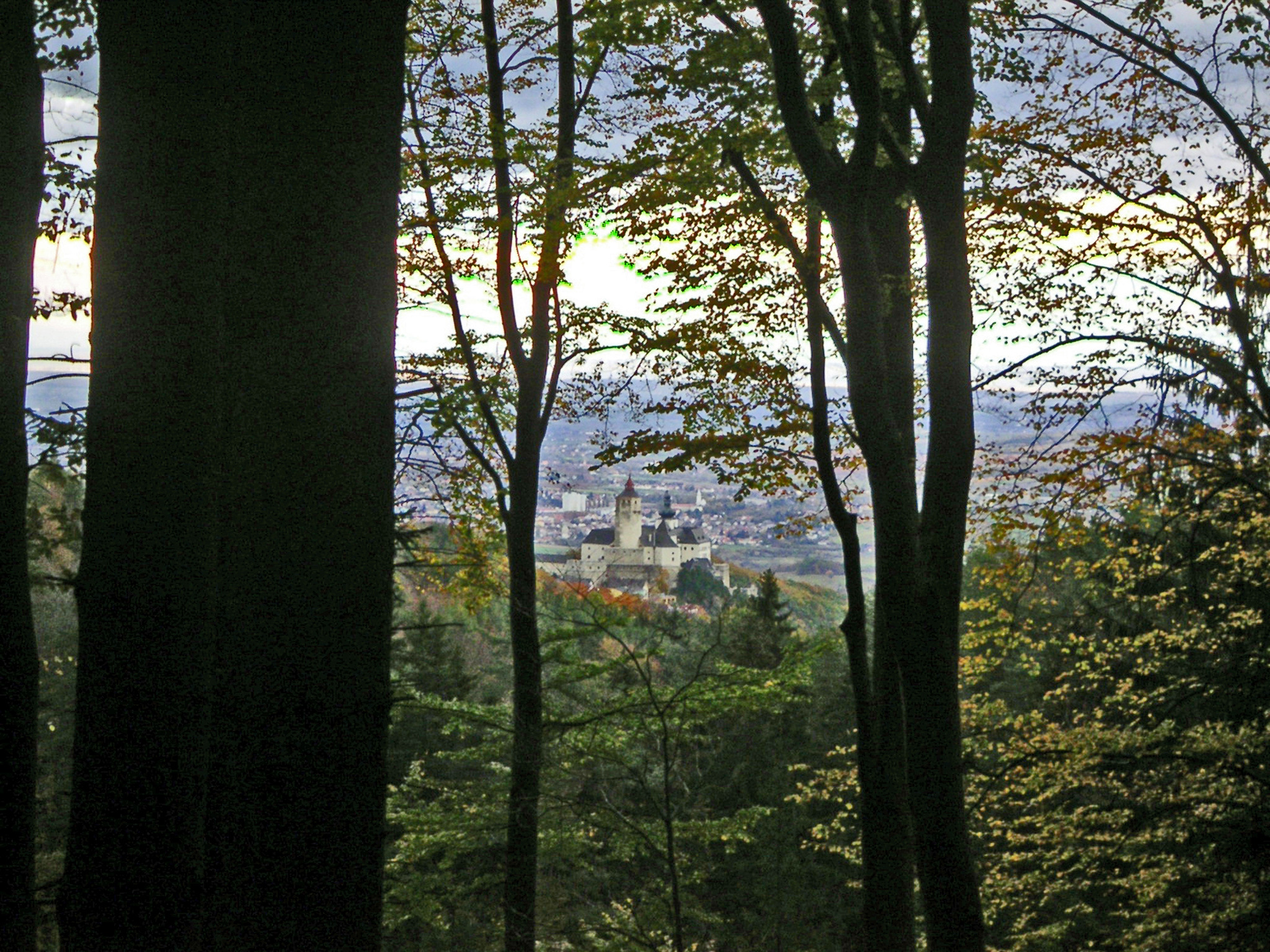 Tourismus in Mattersburg: Rückläufige Mai-Zahlen - Mattersburg