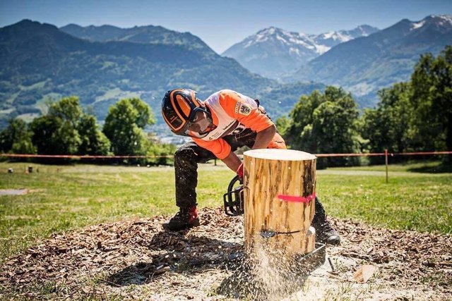 Die besten Waldarbeiter Österreichs - Spittal