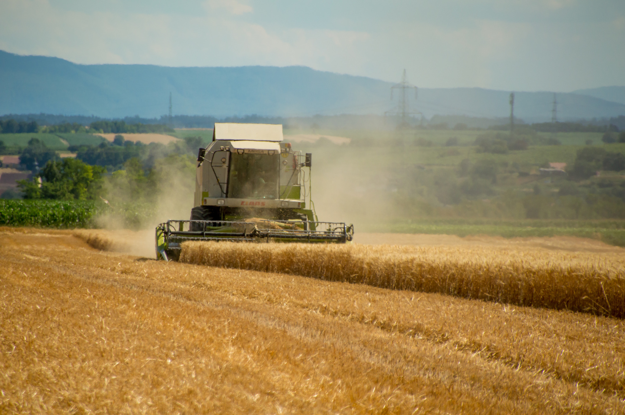 Weizen Ernte im Tullnerfeld - Tulln