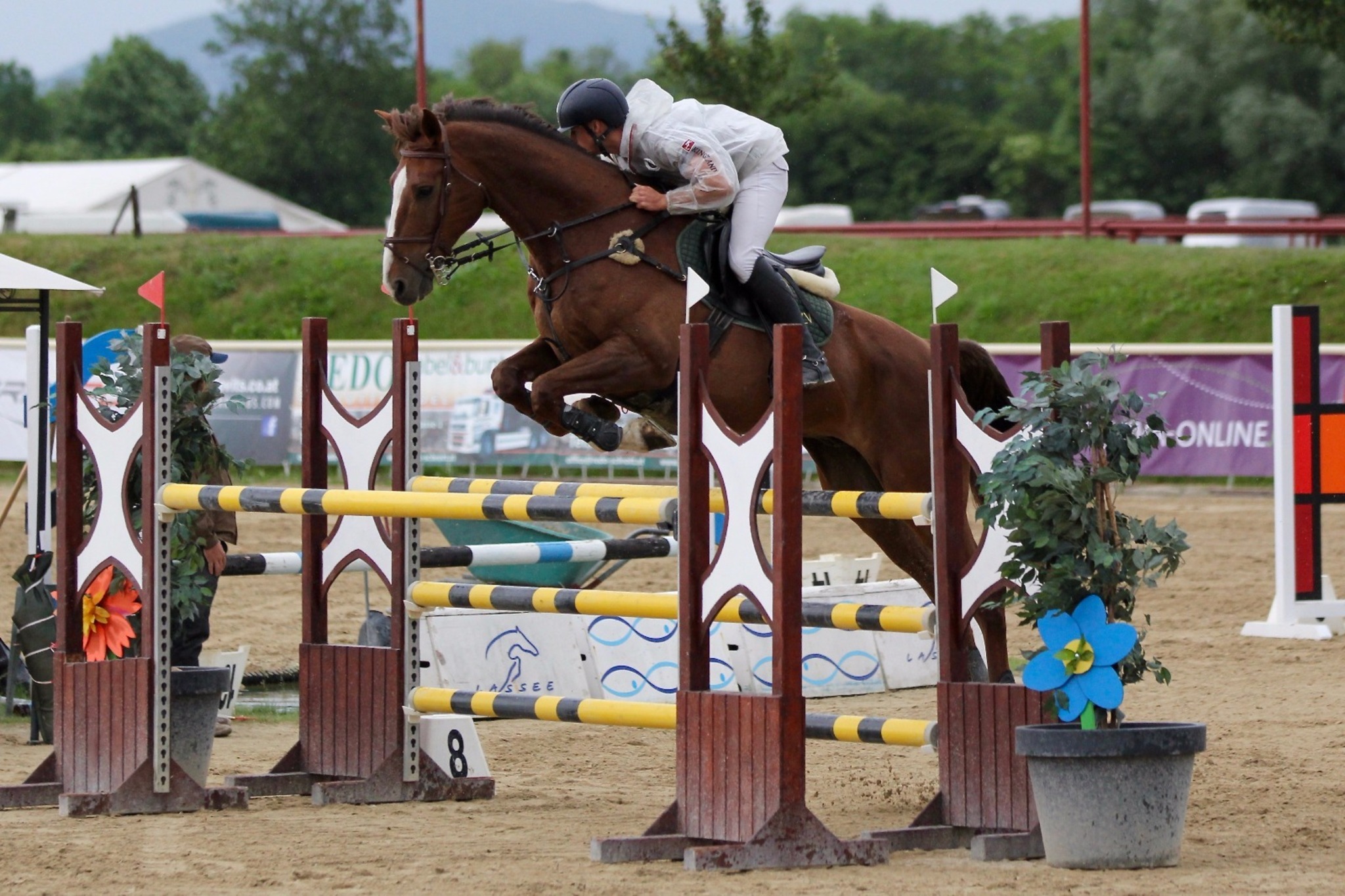 Springturnier in Horitschon - Oberpullendorf