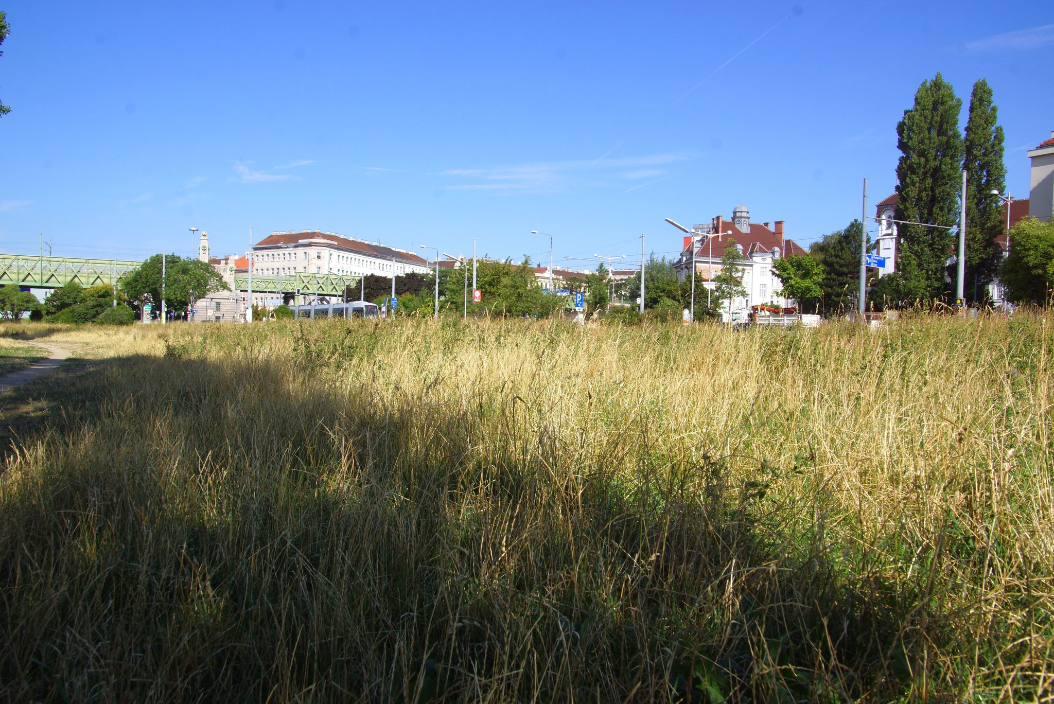 Die Stadtwildnis - Liesing