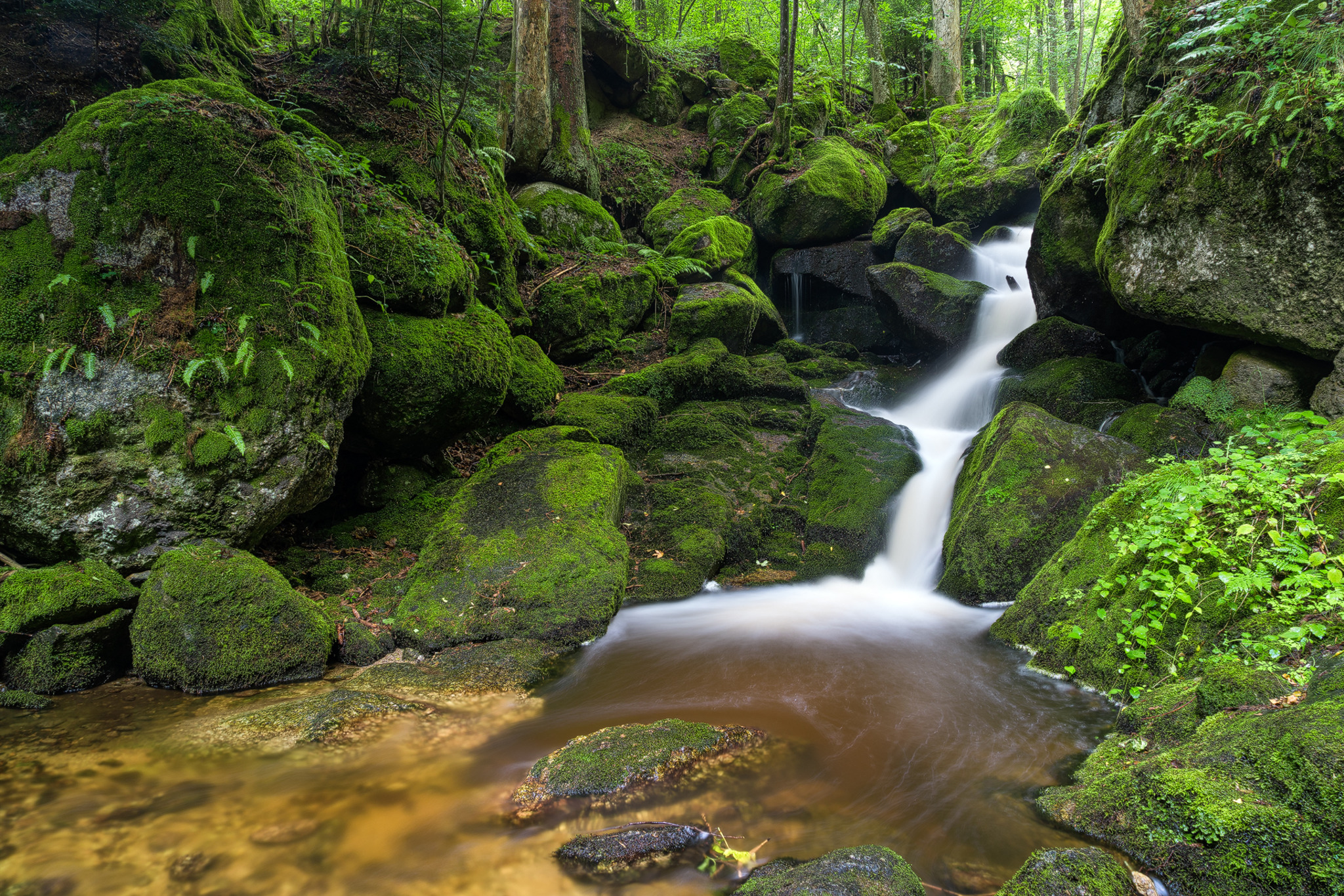 in der Ysperklamm - Melk