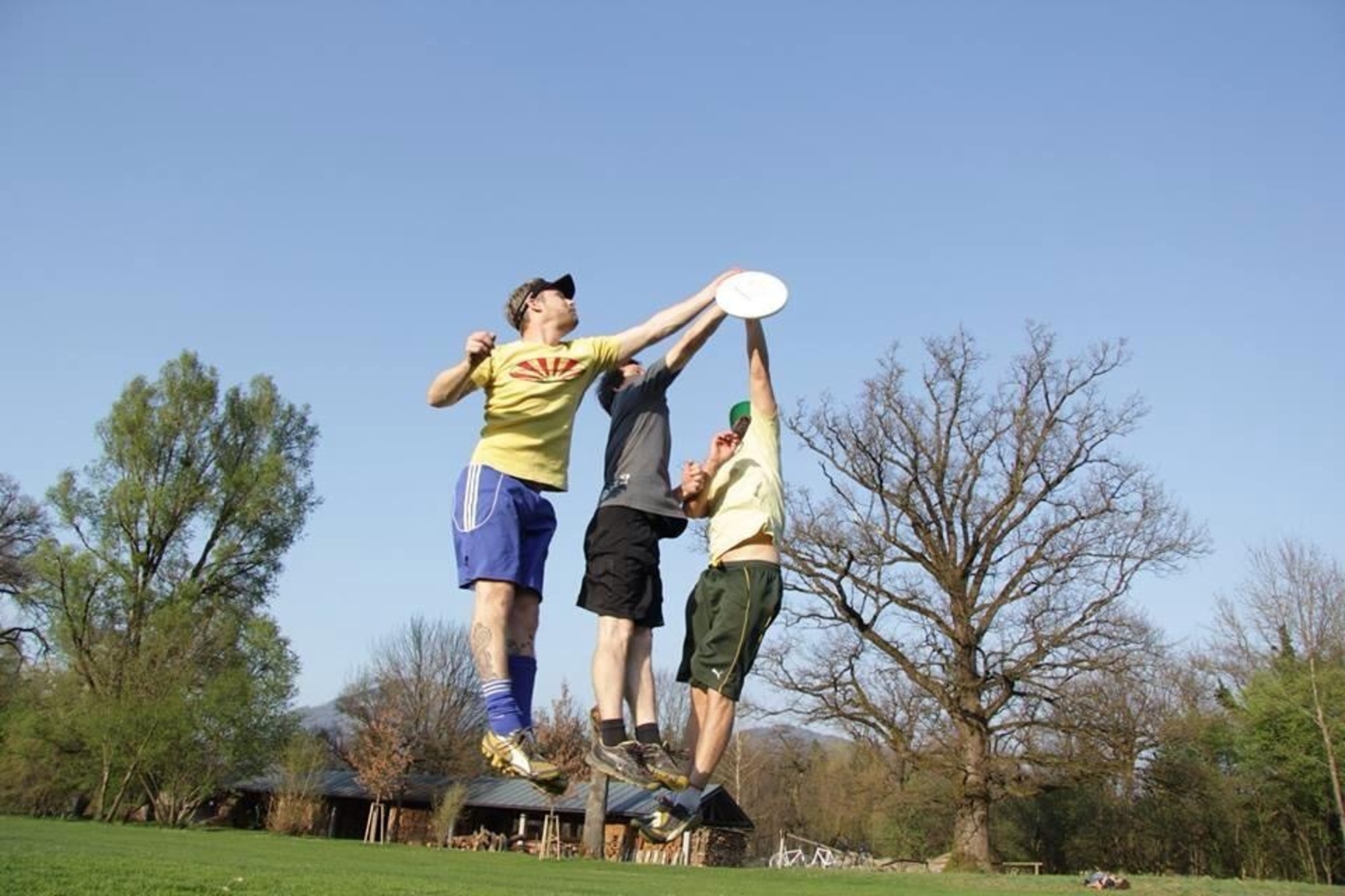 Salzburg Bulls mit neuer Frisbee-Sektion - Salzburg-Stadt