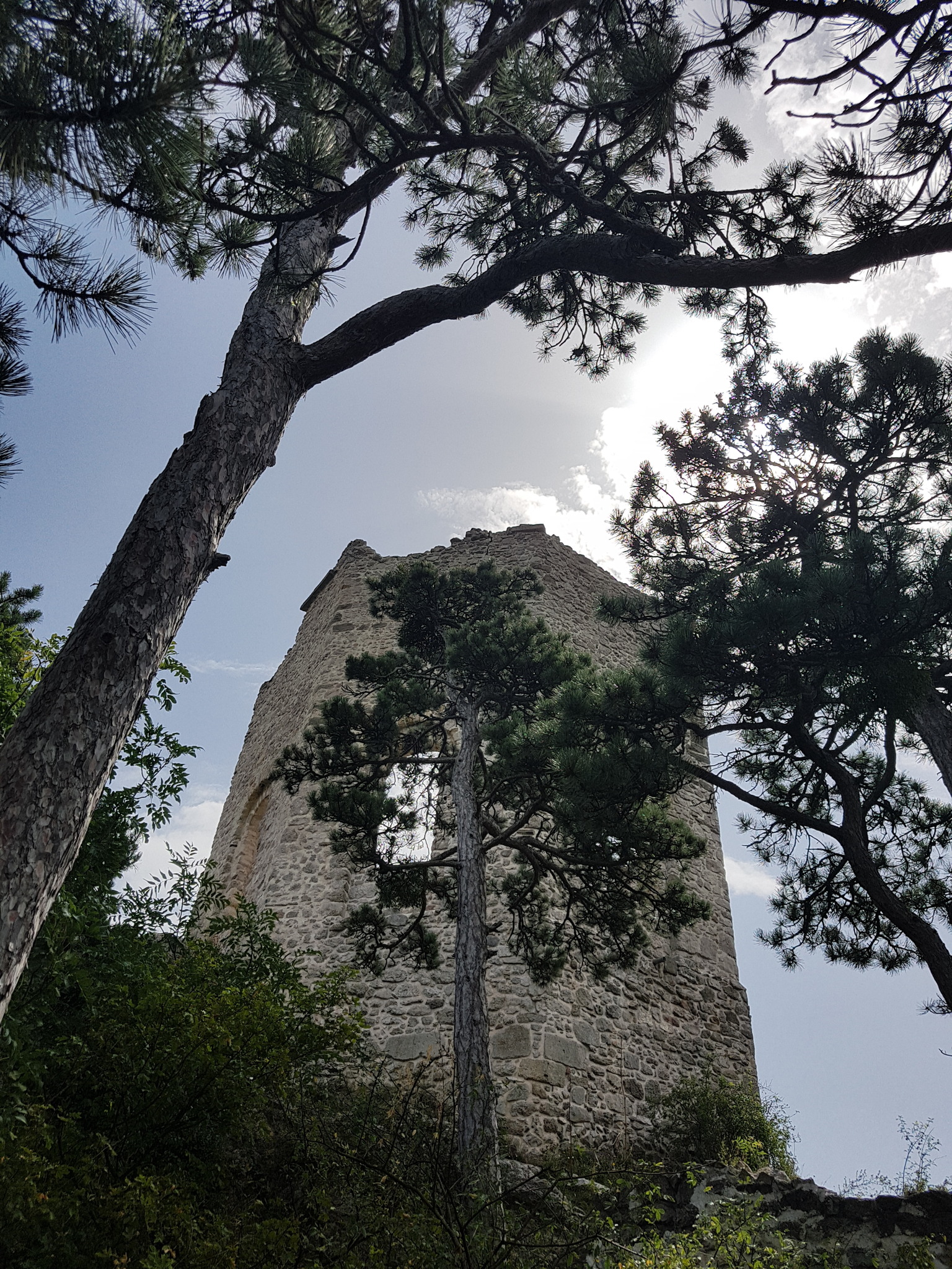 Burg Mödling - Mödling