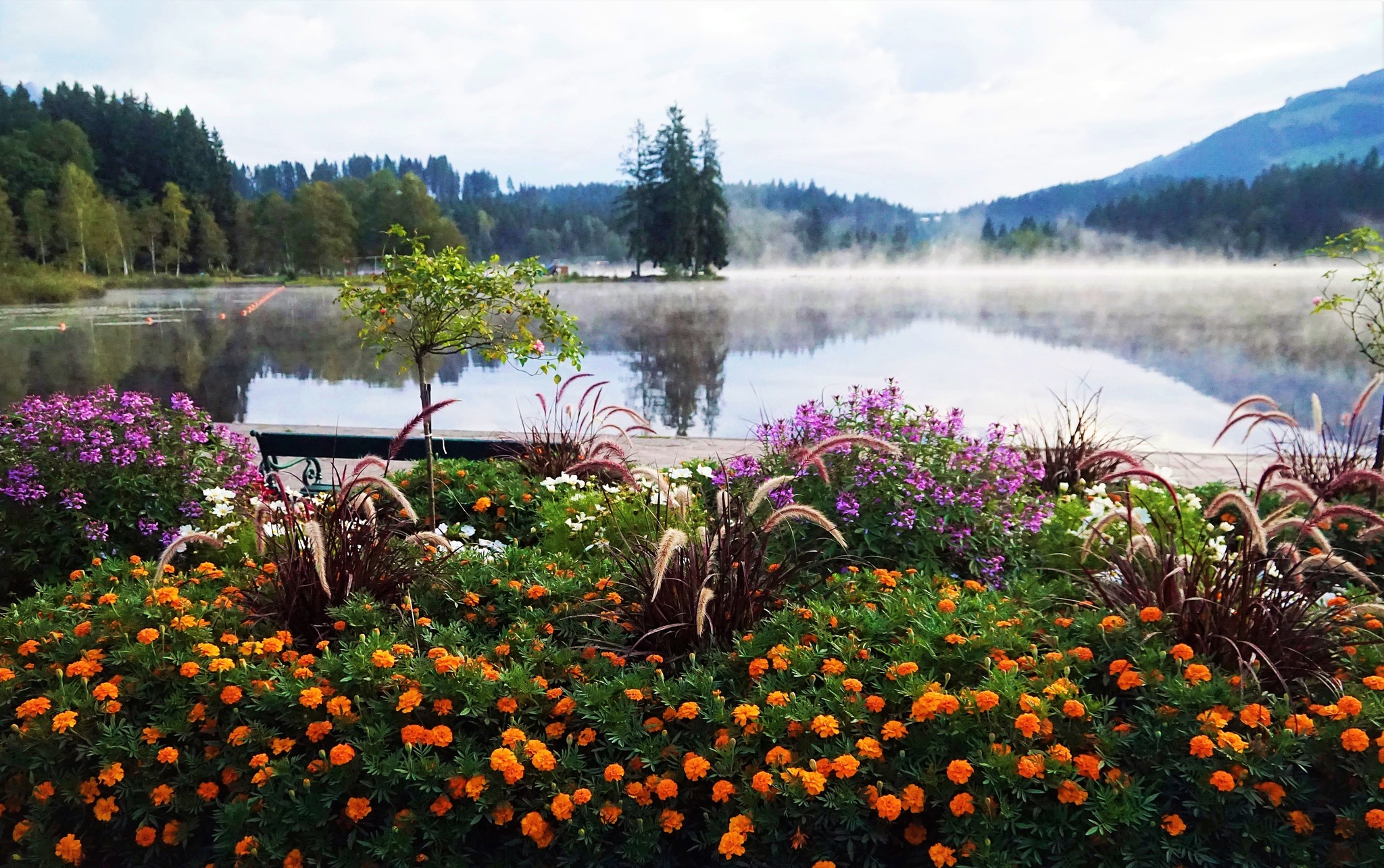 Blumen vor "dampfendem See" - Kufstein