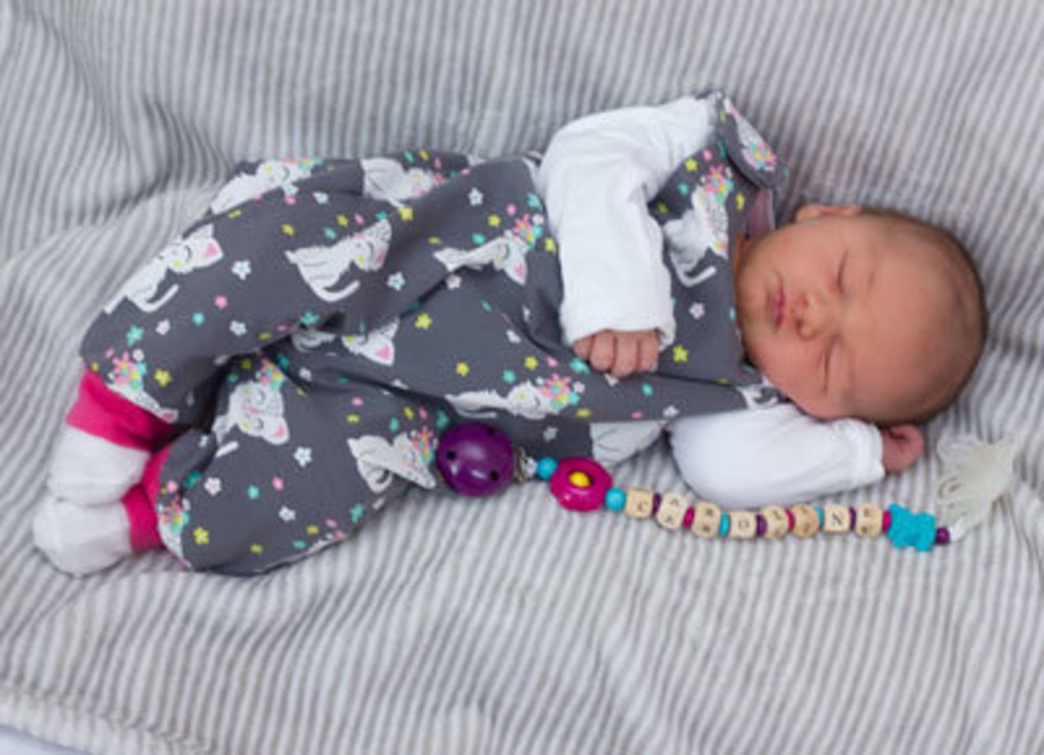 Caroline Zach-Riedl - Horn