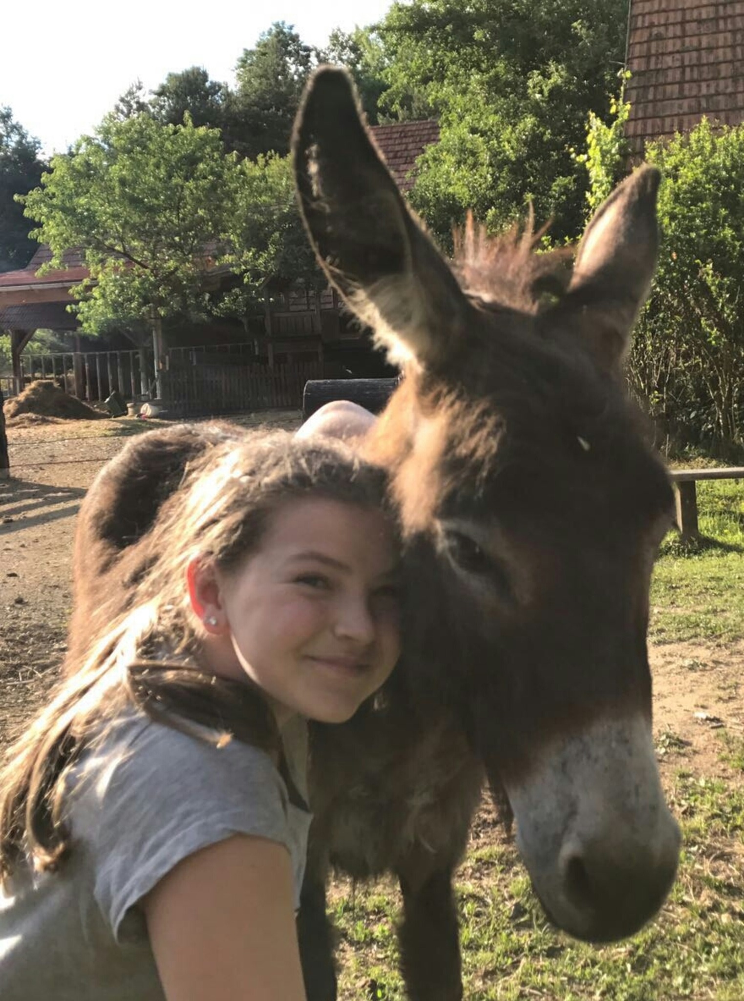 Hoffest: Reinersdorfer Erlebnisbauernhof erhält Gütesiegel - Güssing