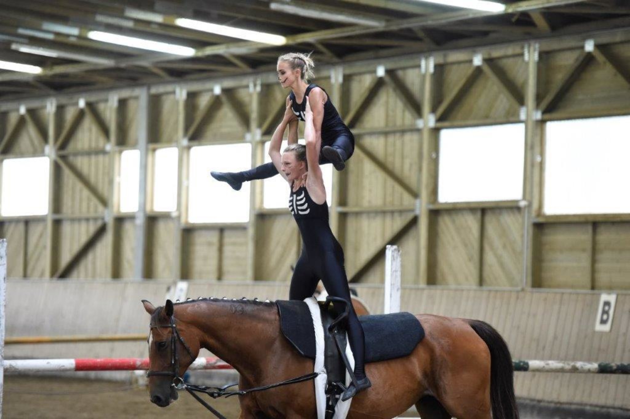 Erfolgreiche Akrobatik am Pferd - Leibnitz
