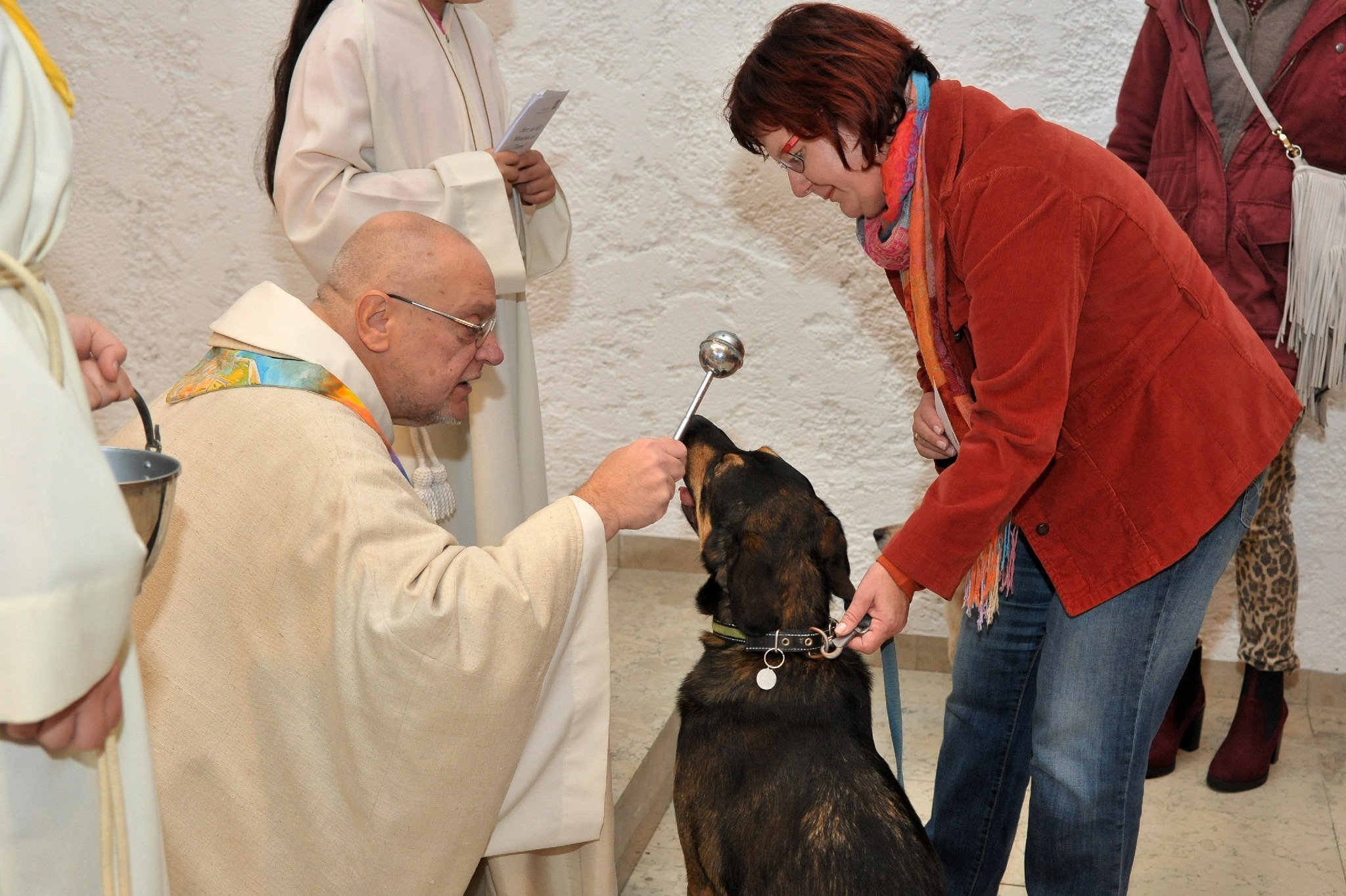 "Alles, was atmet, lobe den Herrn!" - Segen für alle Tiere - Linz