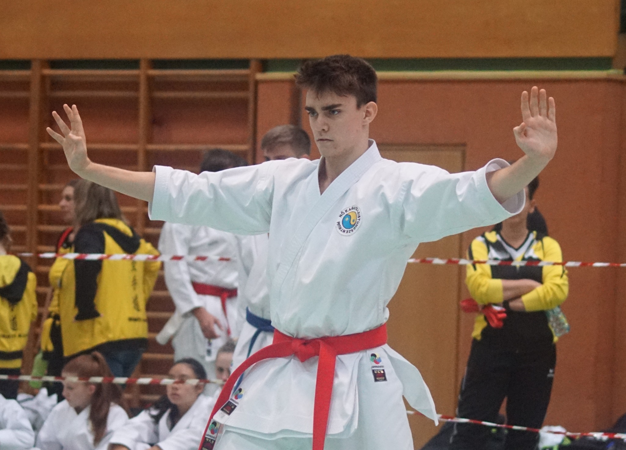 Karate: Der Österreichische Meistertitel für Daniel Fiala - St. Pölten