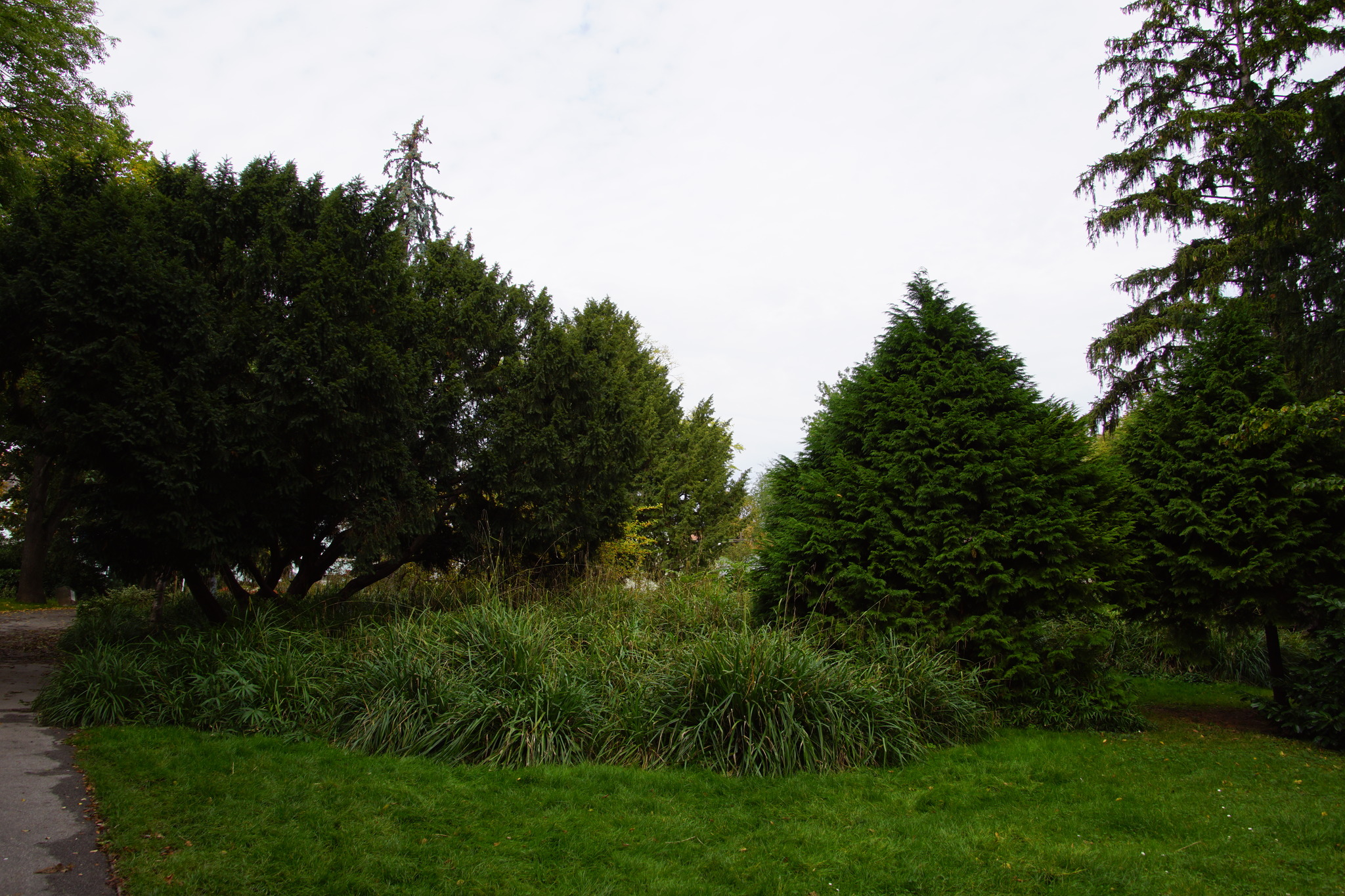 Stadtpark Stockerau - Liesing