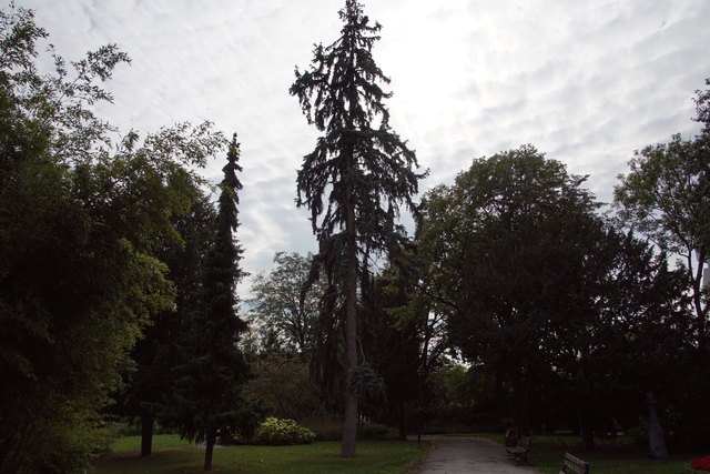 Stadtpark Stockerau - Korneuburg