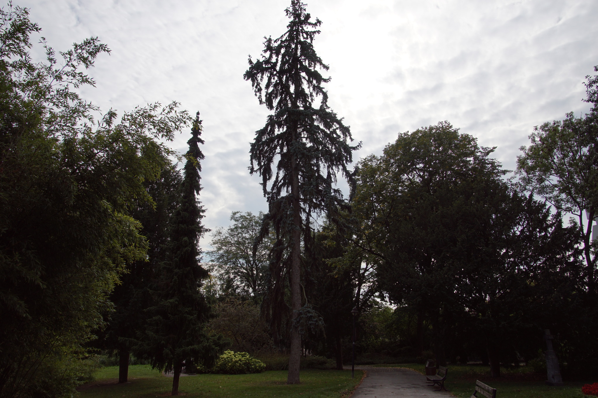 Stadtpark Stockerau - Korneuburg