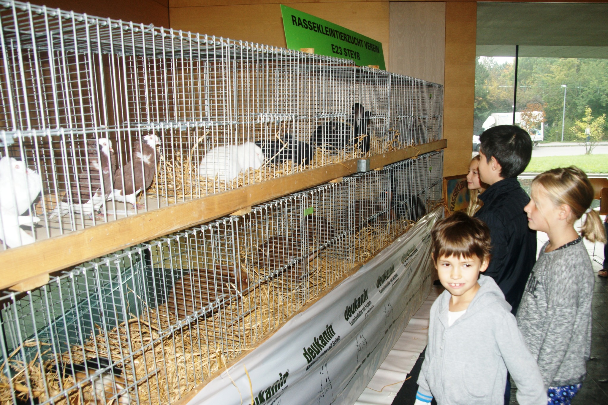 Tiersegnung in der Pfarre Resthof - Steyr & Steyr Land