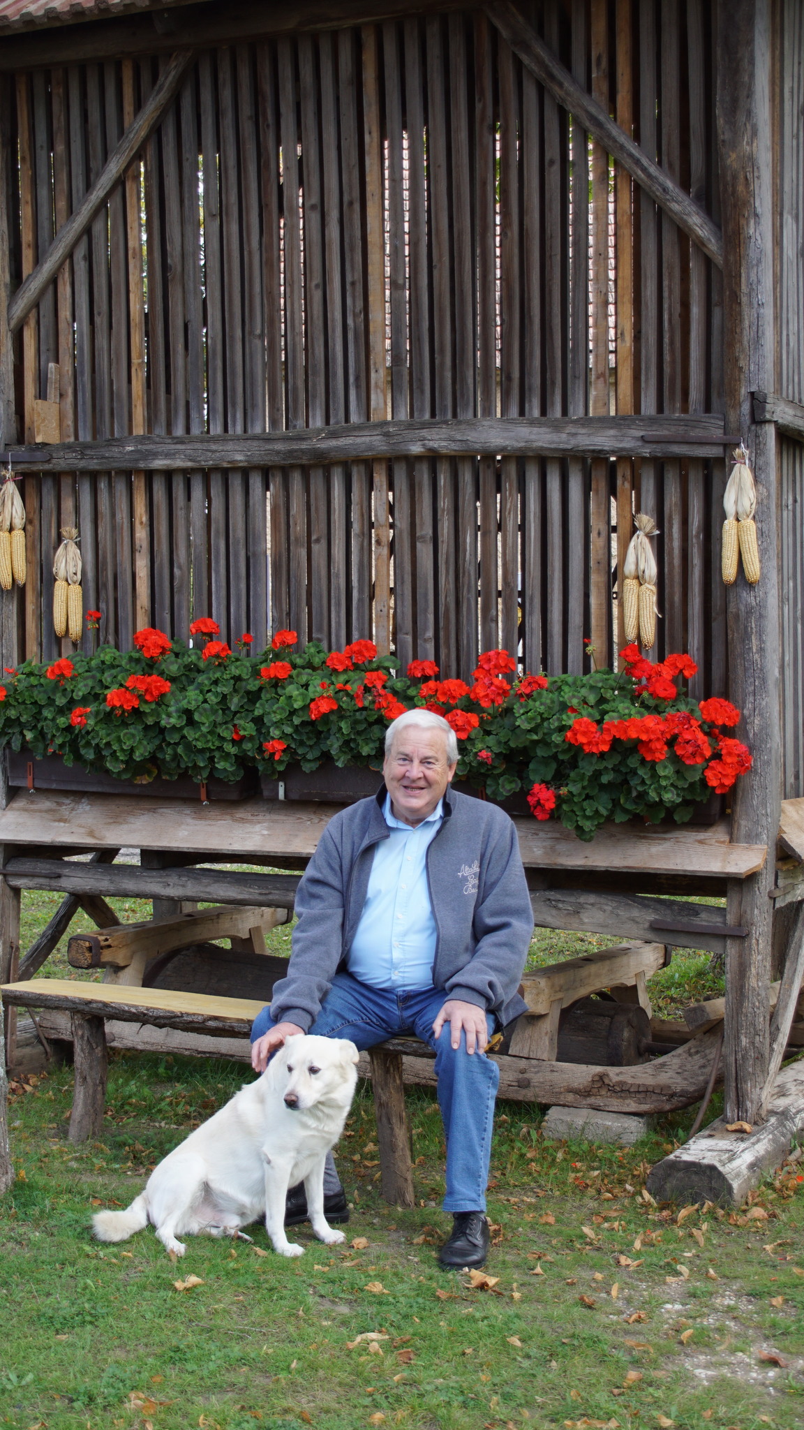 Einfach näher dran mit Andreas Gisch in Halbturn - Neusiedl am See