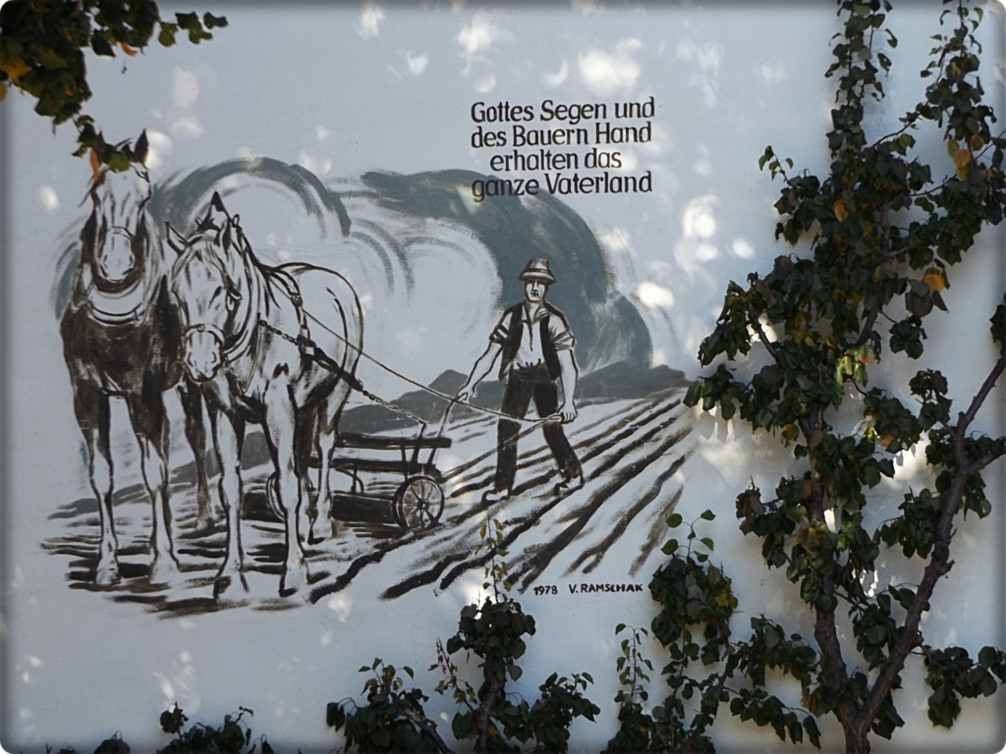 Bauernregel - St. Veit