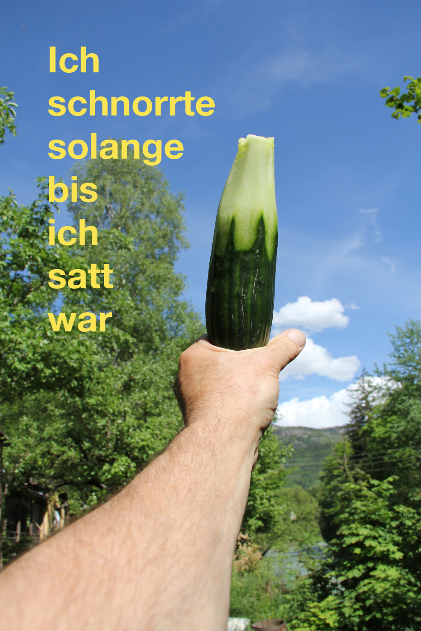 Ferdinand Götz – Ich schnorrte solange bis ich satt war. - Vöcklabruck