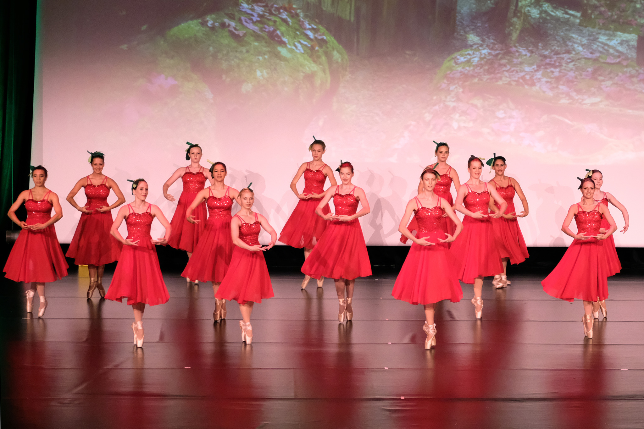 Ballett heißt Disziplin - Linz