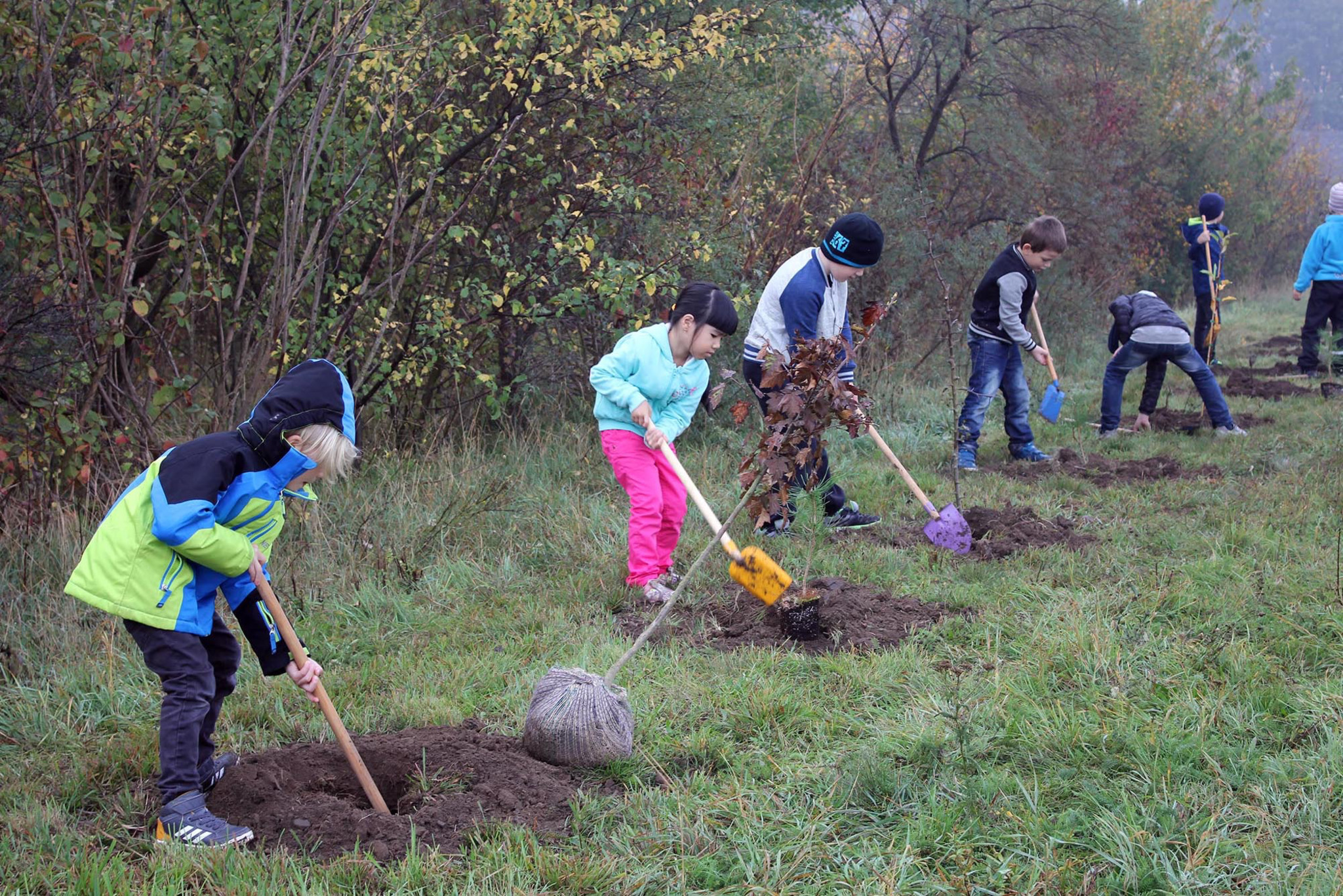 Schüler gruben und gruben für neue Bäumchen - Schwechat