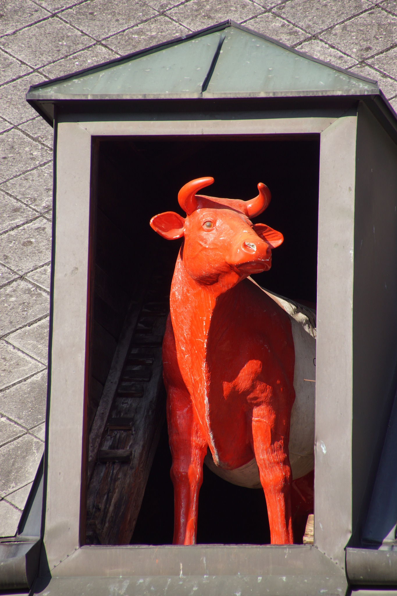 Roter Bulle - Liesing