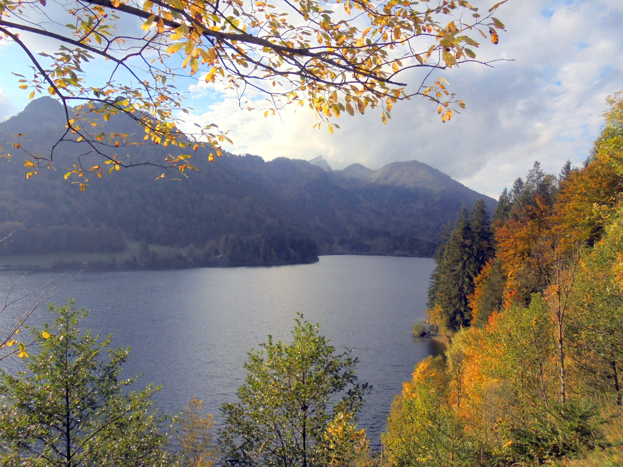 Schwarzensee - Vöcklabruck