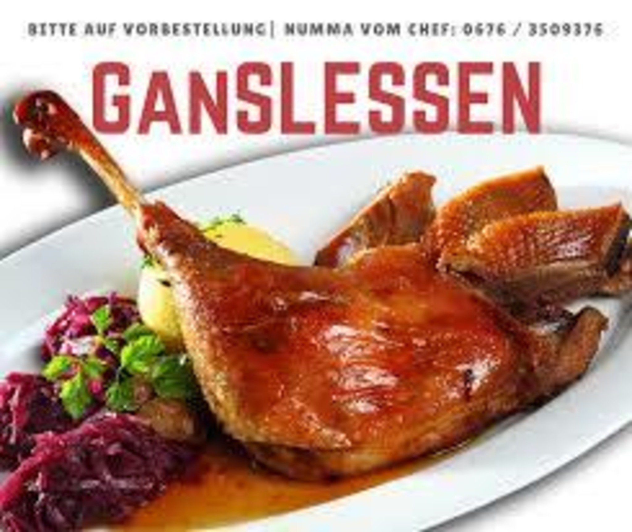 Gans'l-Essen 2018 - Wienerwald/Neulengbach
