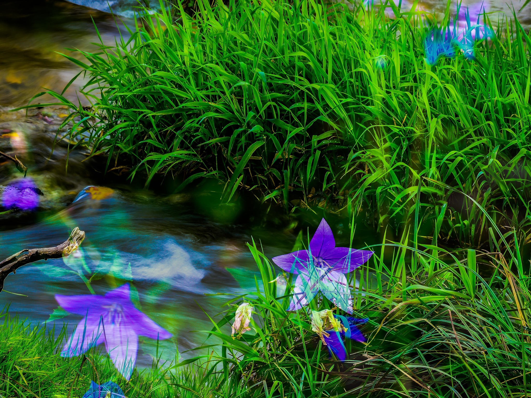 Im Fluß...Doppelbelichtung - Schwechat