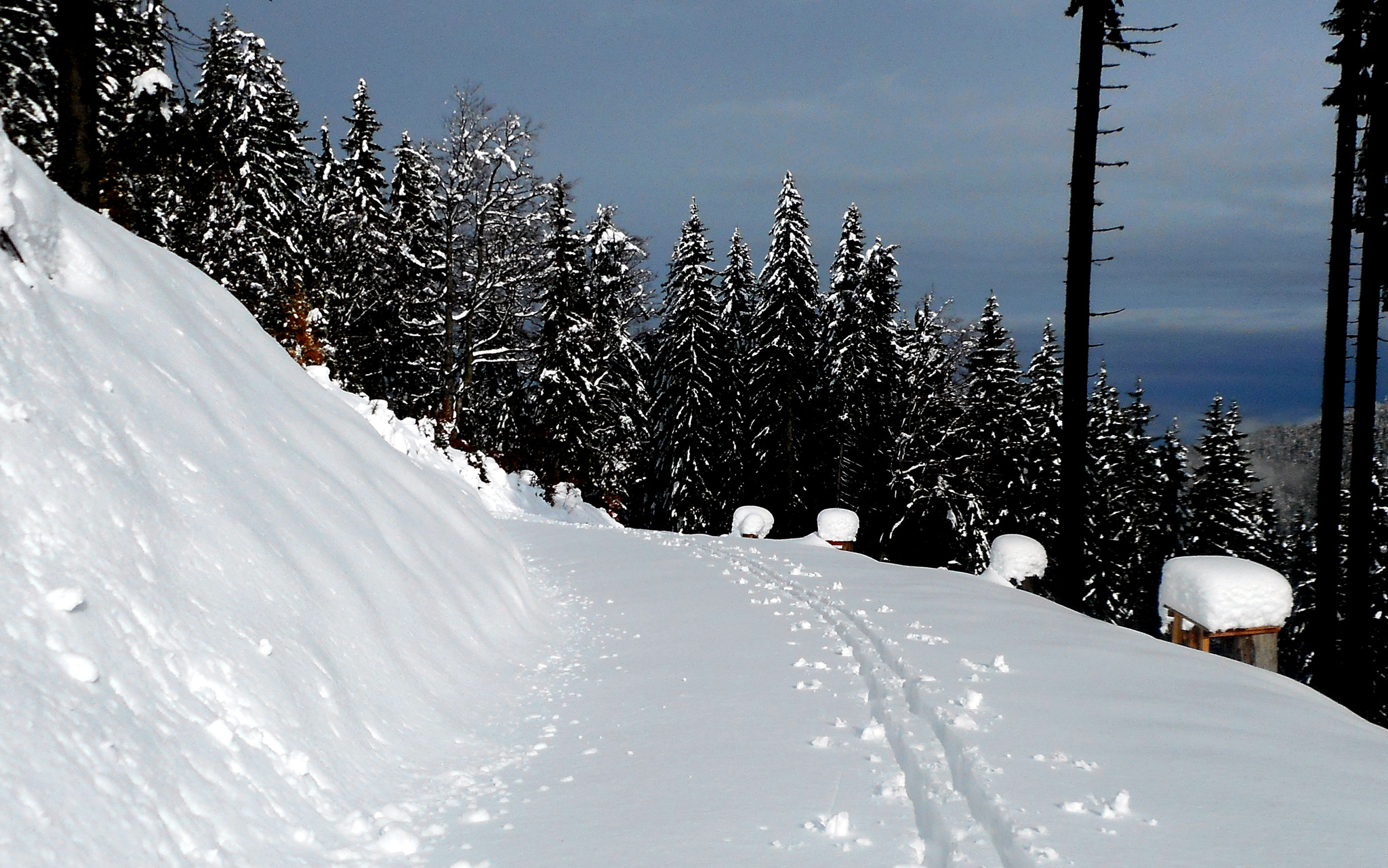 Wurzenpass Skitour - Villach Land