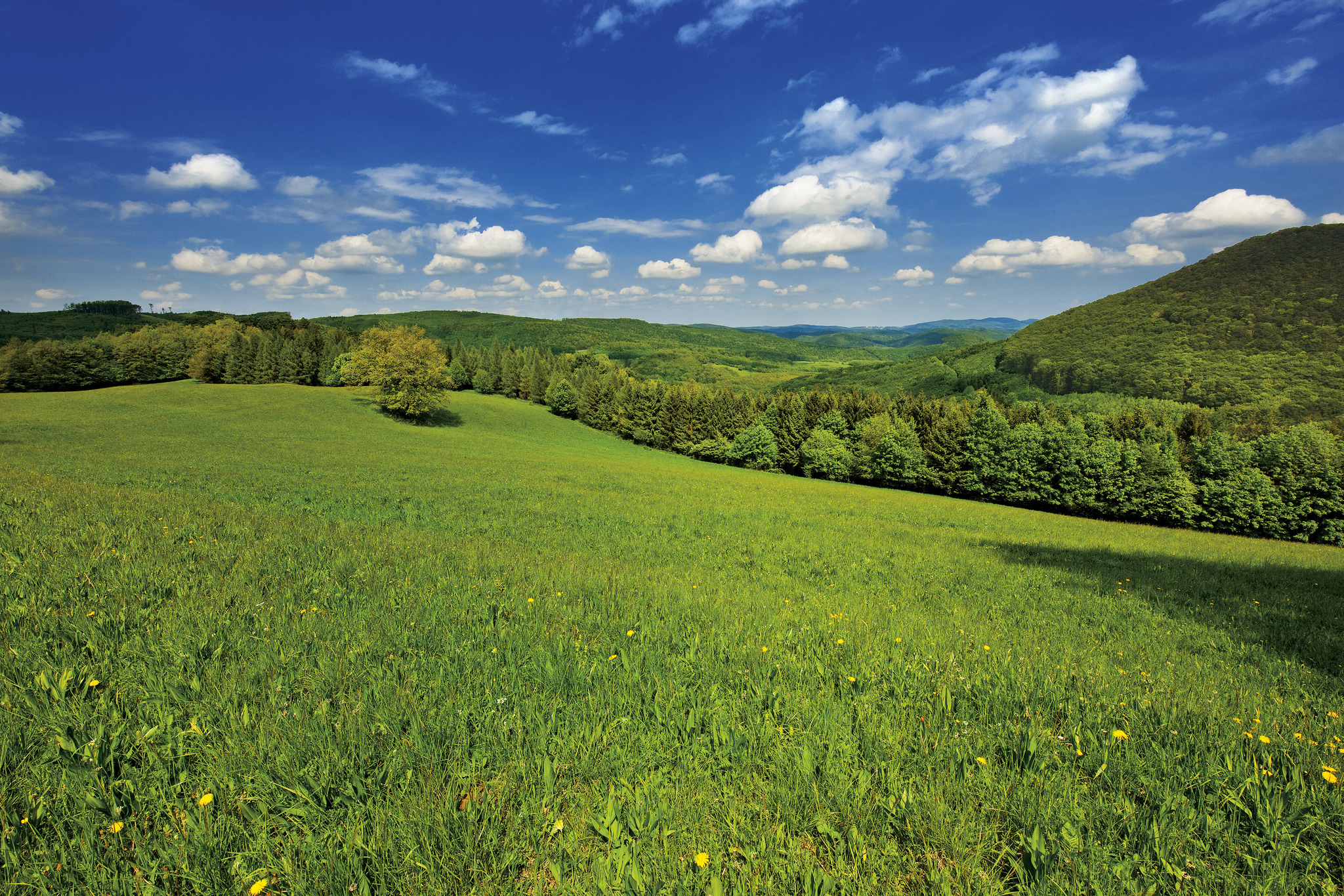 Fotowettbewerb "Ich und mein Wienerwald" - Purkersdorf