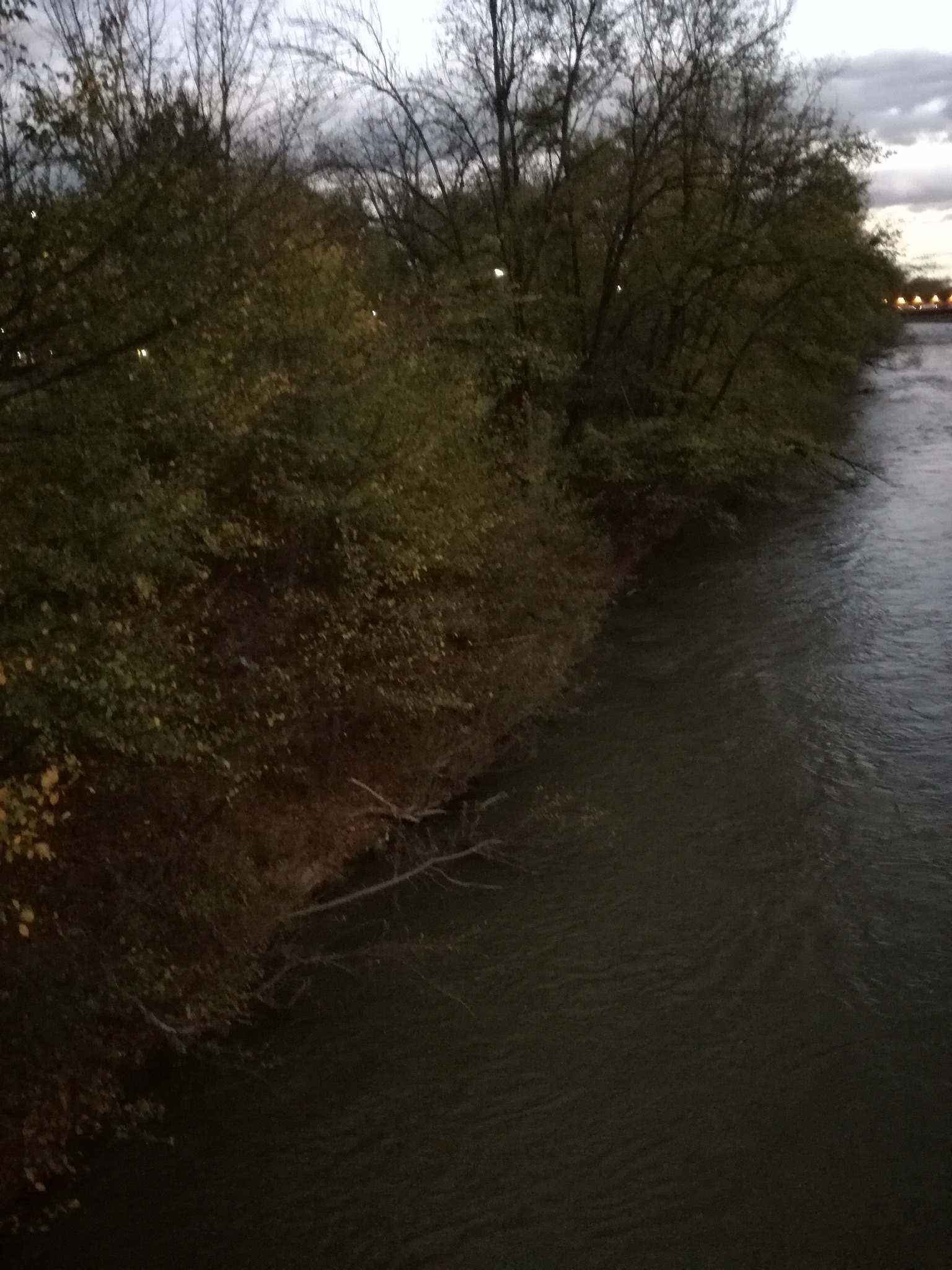 So schön war einst das Grazer Murufer im Zentrum---doch-----: DIE MUR ...