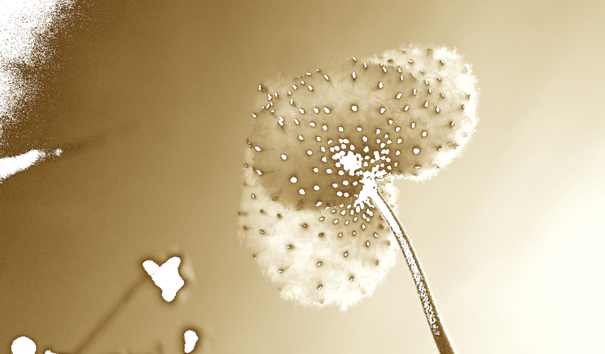 November Heart - Oberwart