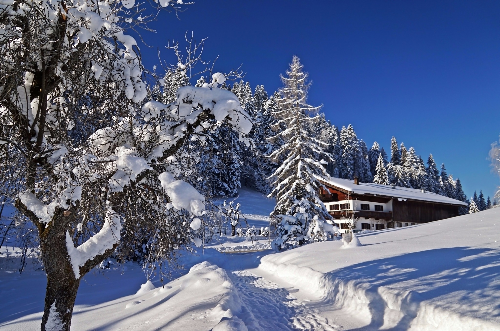 frischer Schnee - Kufstein