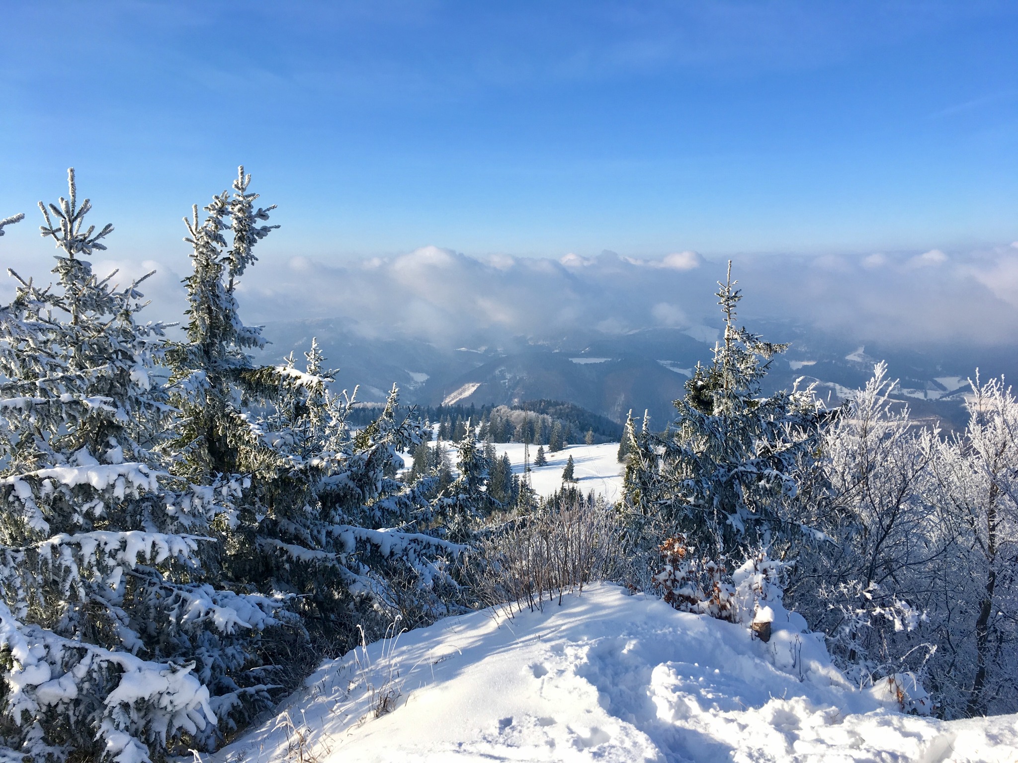 Winter am Berg - Lilienfeld