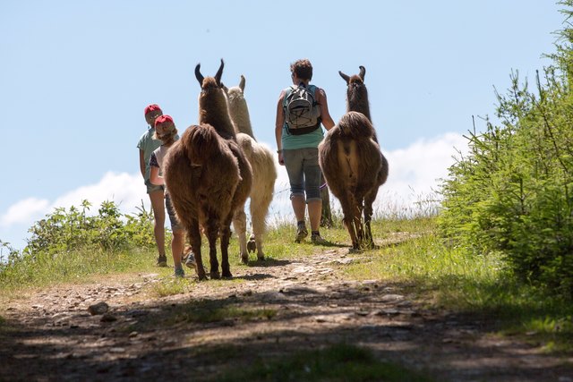 "Lama-Rudi" am Freitag im Servus TV - Voitsberg