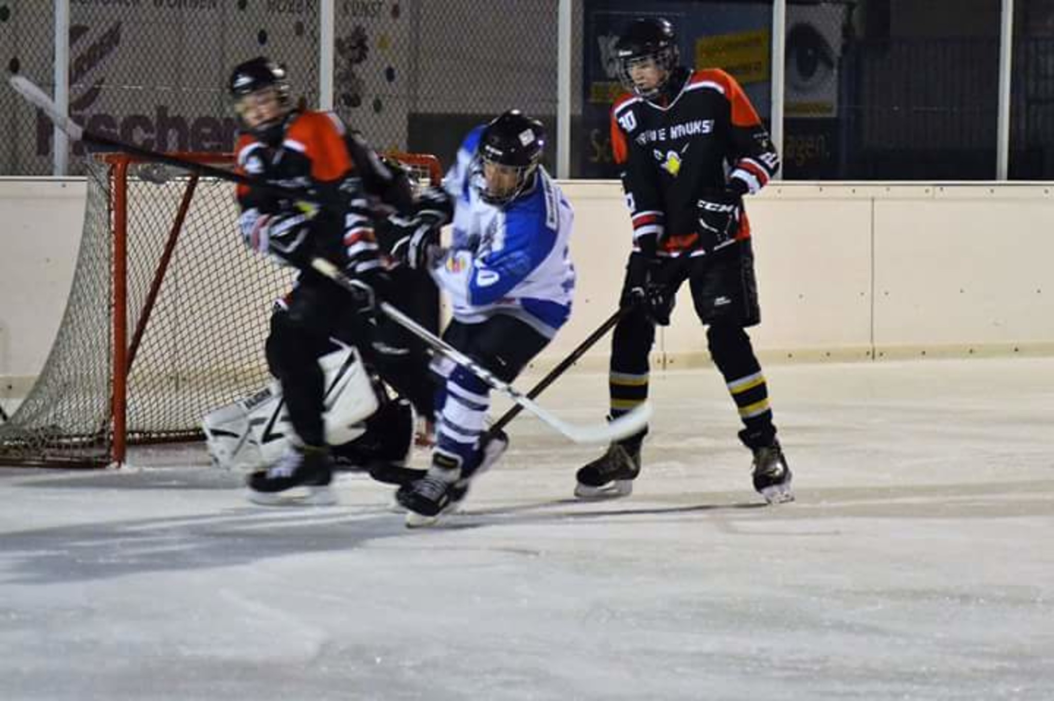 Mad Dogs/Eiswölfe 15 : Brave Hawks 1 - Wiener Neustadt