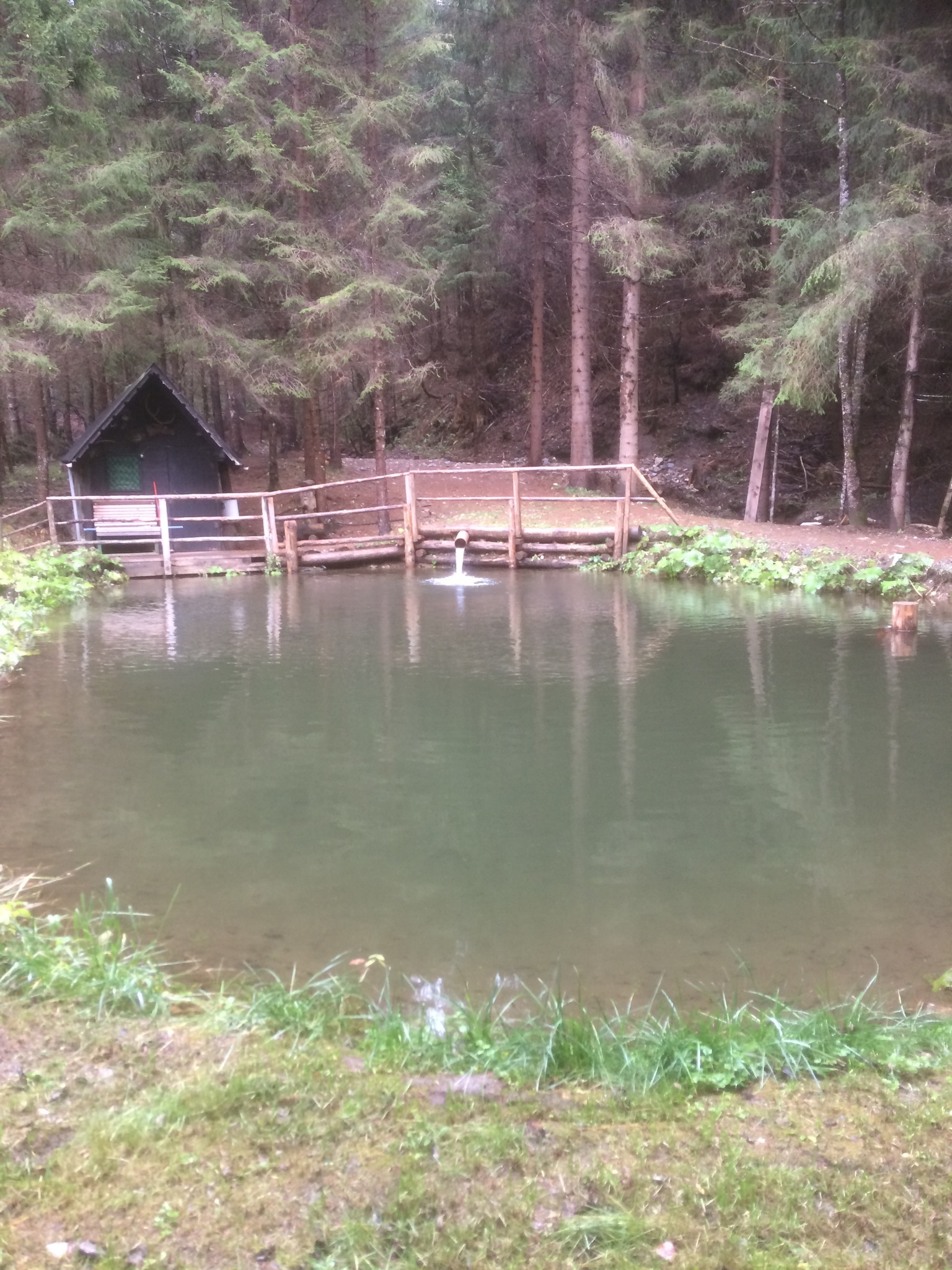 Romantischer Fischteich - Feldkirchen