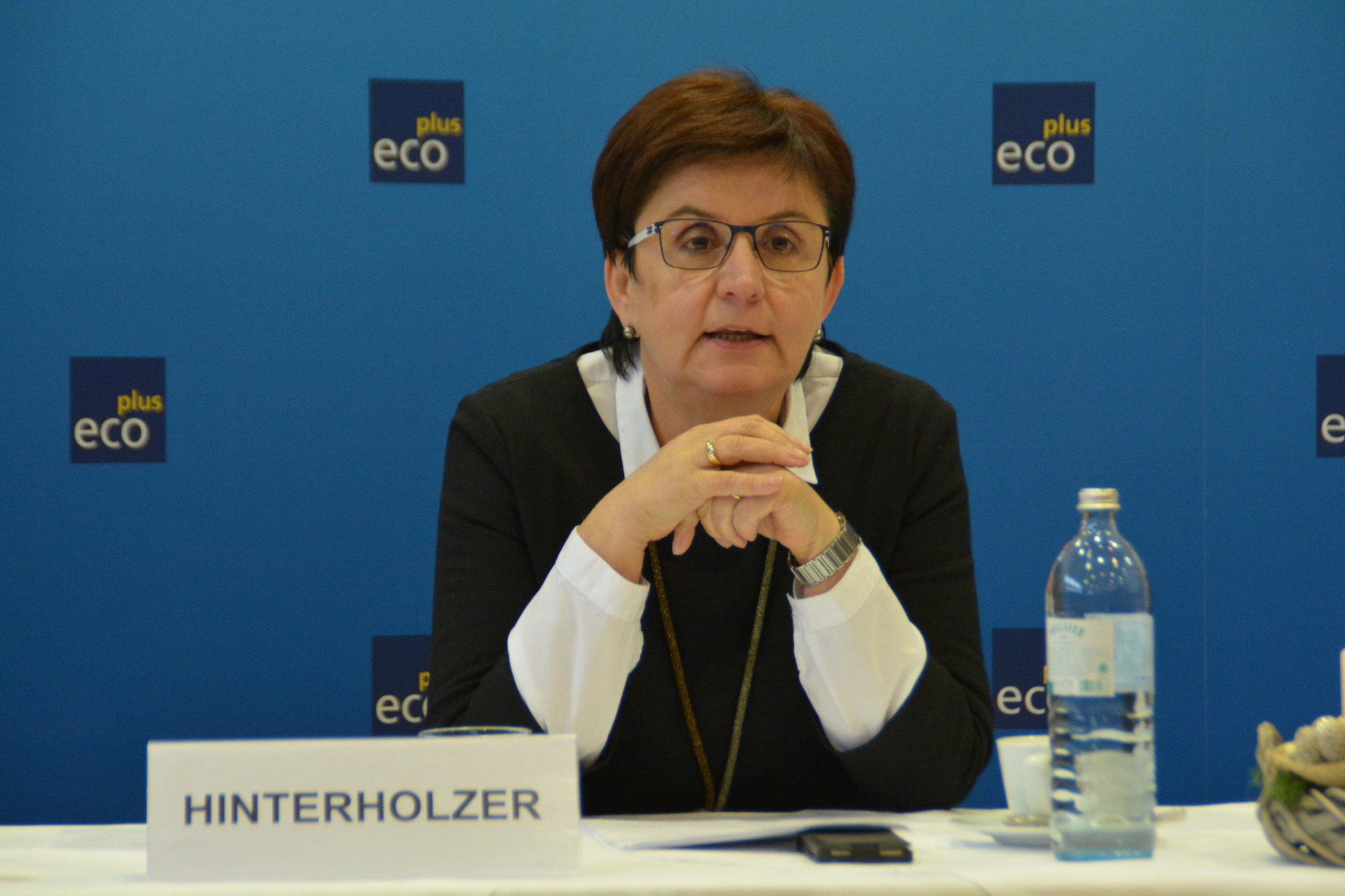 Hinterholzer: "Mostviertel ist eine dynamische Region" - Amstetten