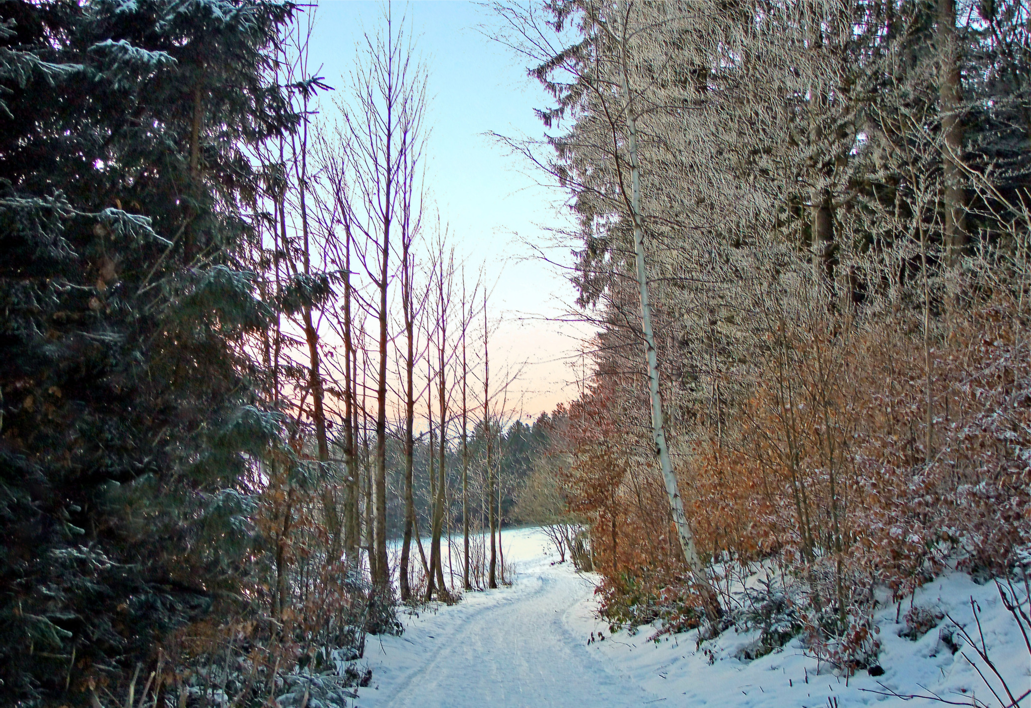 Spaziergang im Winter - Linz
